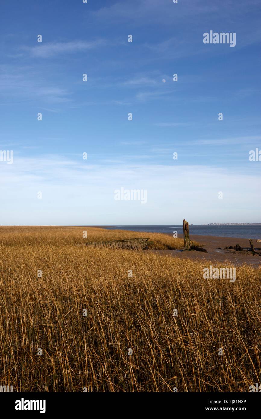 River Swale at The Swale National Nature Reserve, Isle of Harty, Isle ...