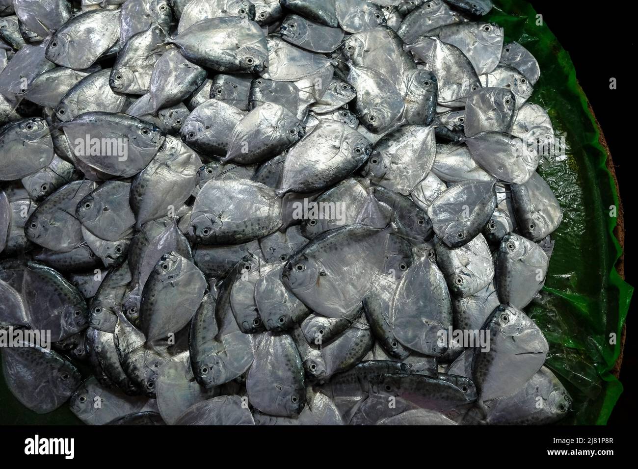 Detail of a stall selling fish in the San Jose market in Occidental ...