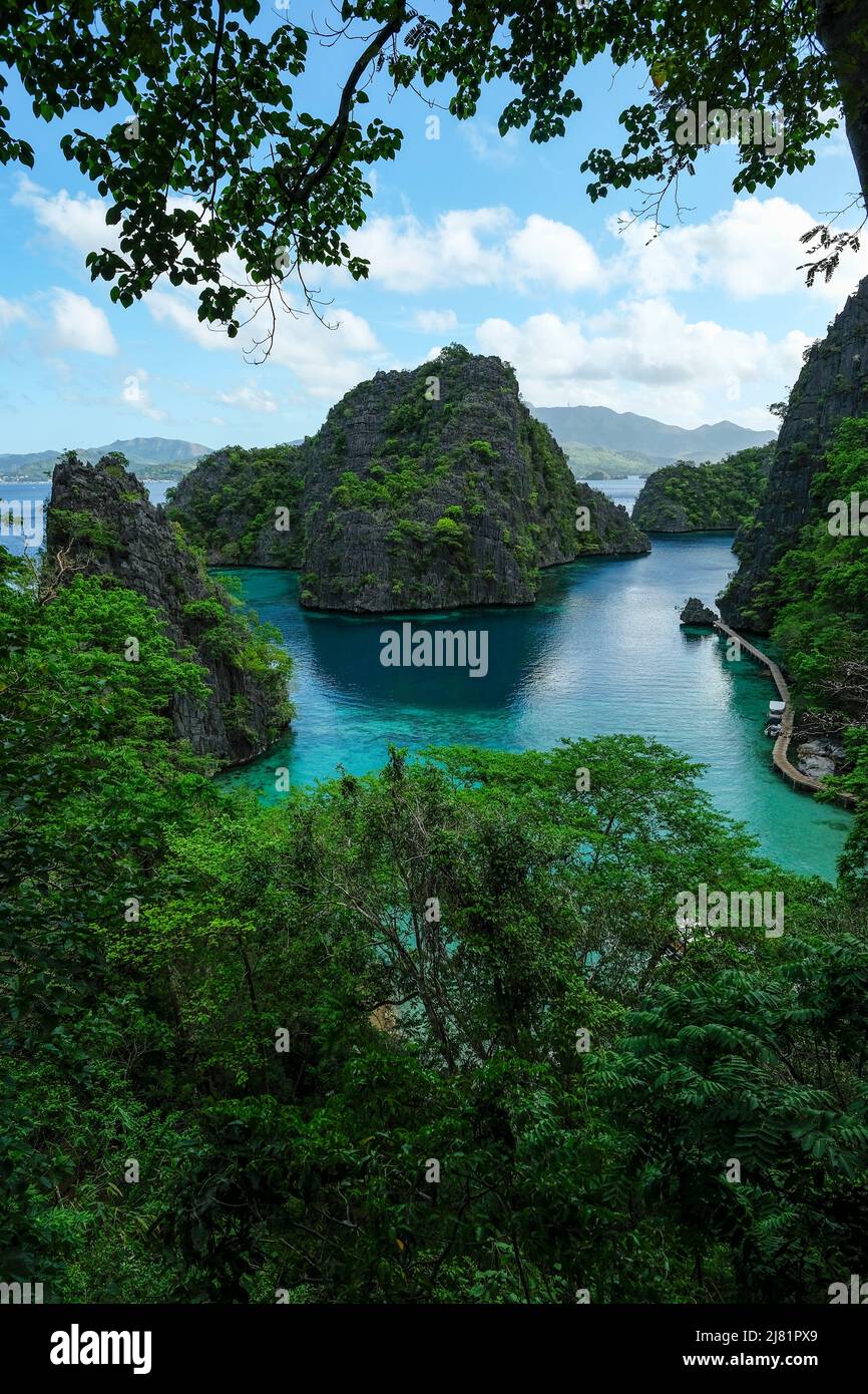 Views of the Kayangan lake in Coron, Palawan, Philippines Stock Photo ...