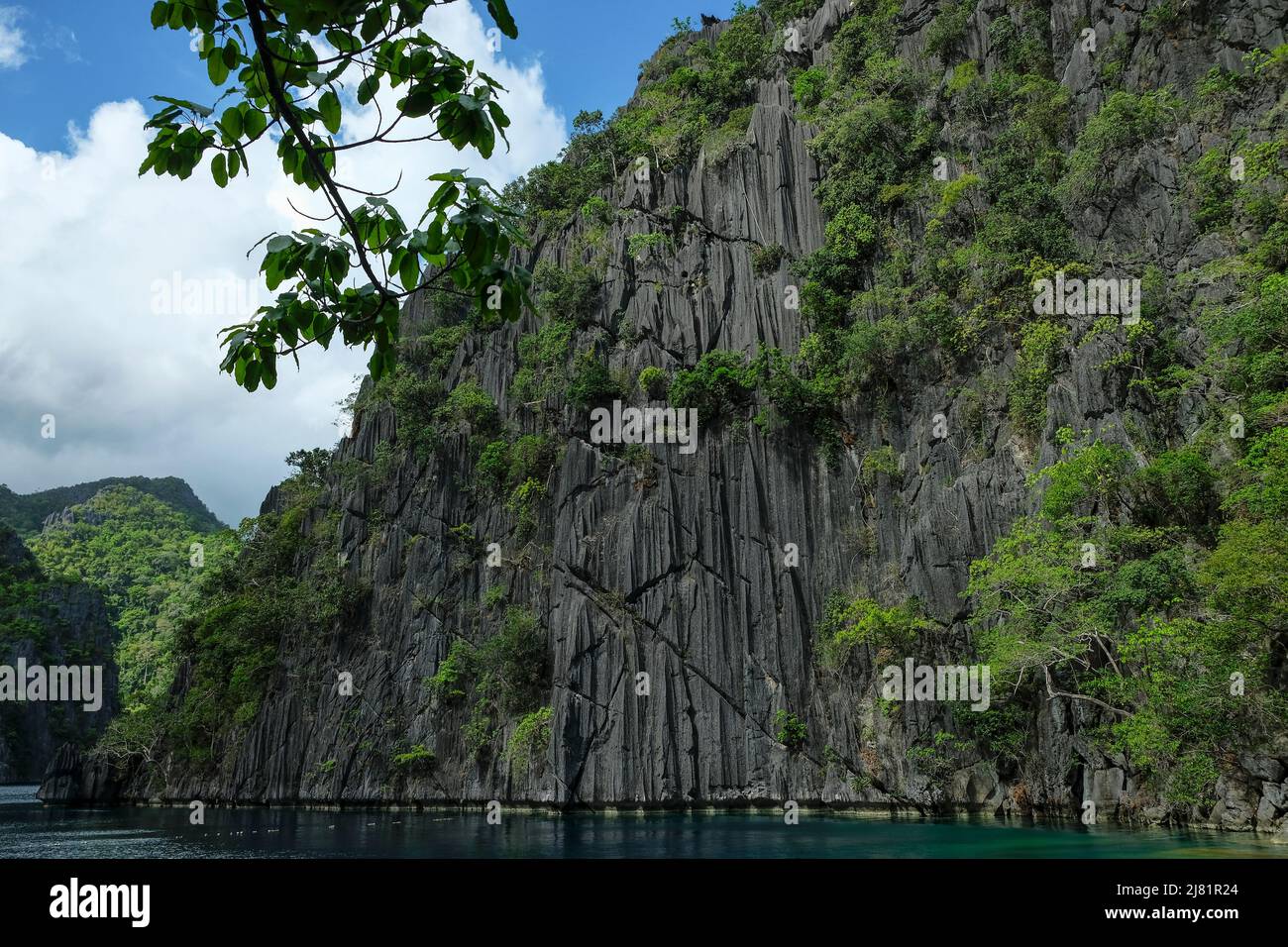 Views of the Kayangan lake in Coron, Palawan, Philippines Stock Photo ...