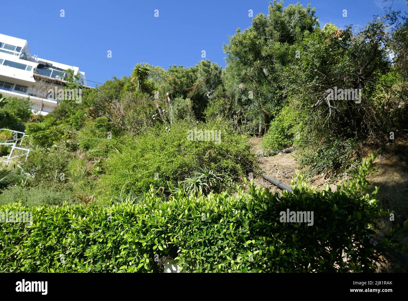 Los Angeles, California, USA 10th May 2022 A general view of atmosphere ...