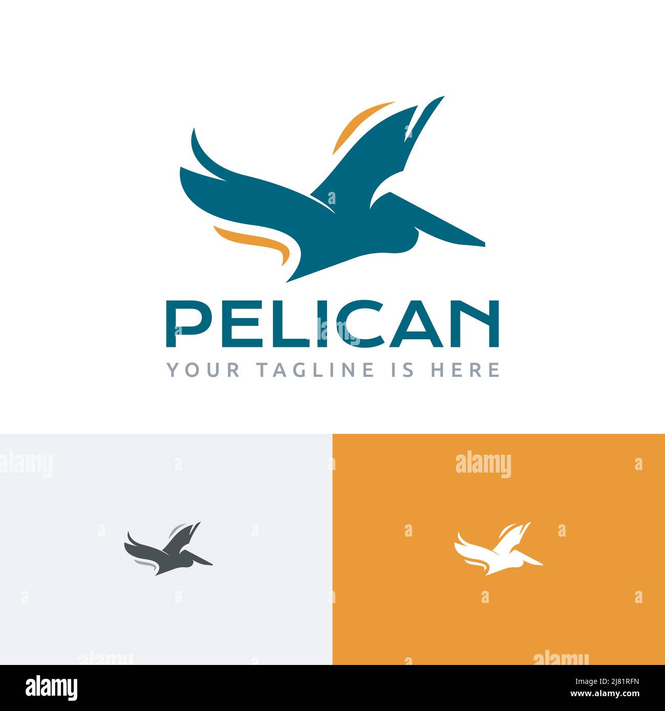 Pelican Wings Bird Flying Tour Travel Wildlife Logo Stock Vector Image ...
