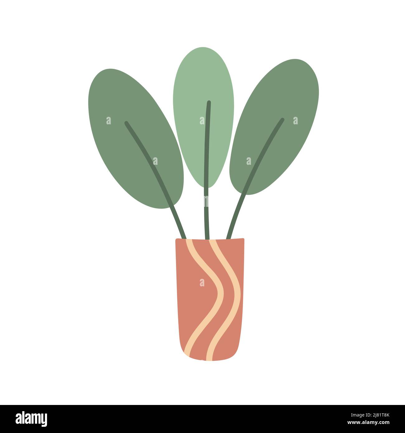 Indoor flower in pot vector illustration Stock Vector Image & Art - Alamy