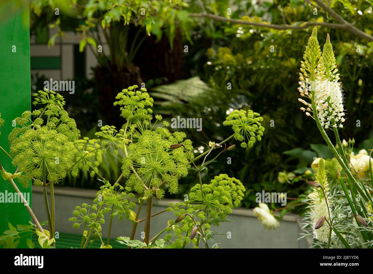 The Green Fingers Charity Garden, a show garden at the RHS Chelsea ...