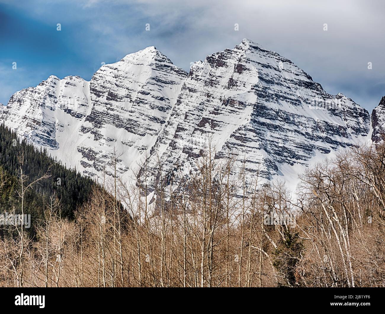The peaks of the Maroon Bells rise over the tops of aspen trees in the ...