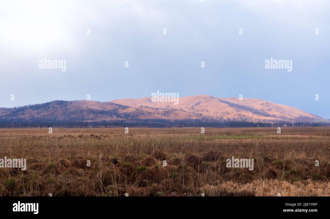 Beautiful mountain land with forest. Scenic view of the endless ...