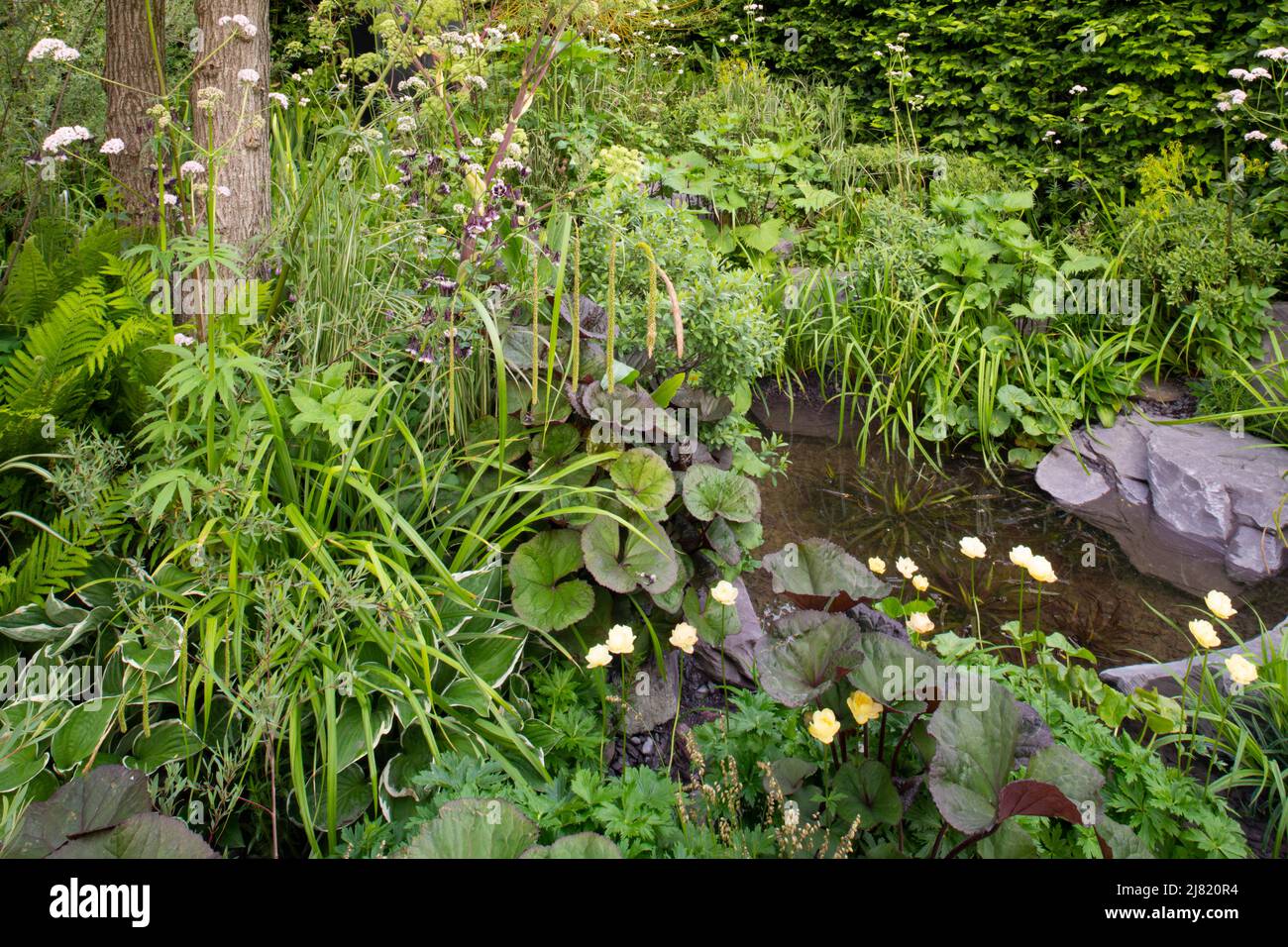 Viking Cruises: The Art of Viking Garden at the RHS Chelsea Flower Show ...