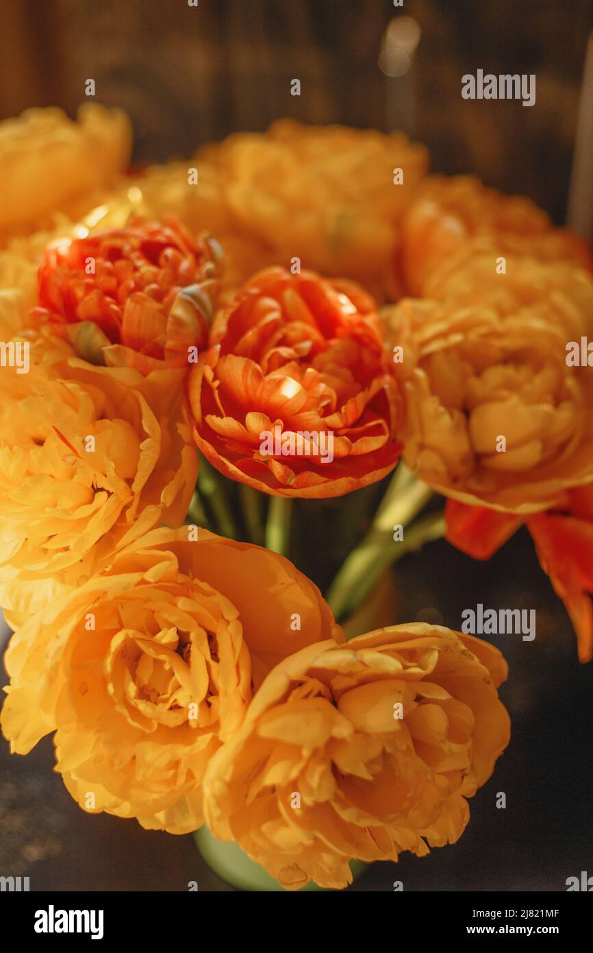 spring flowers bright orange in warm colors high expansion Stock Photo ...