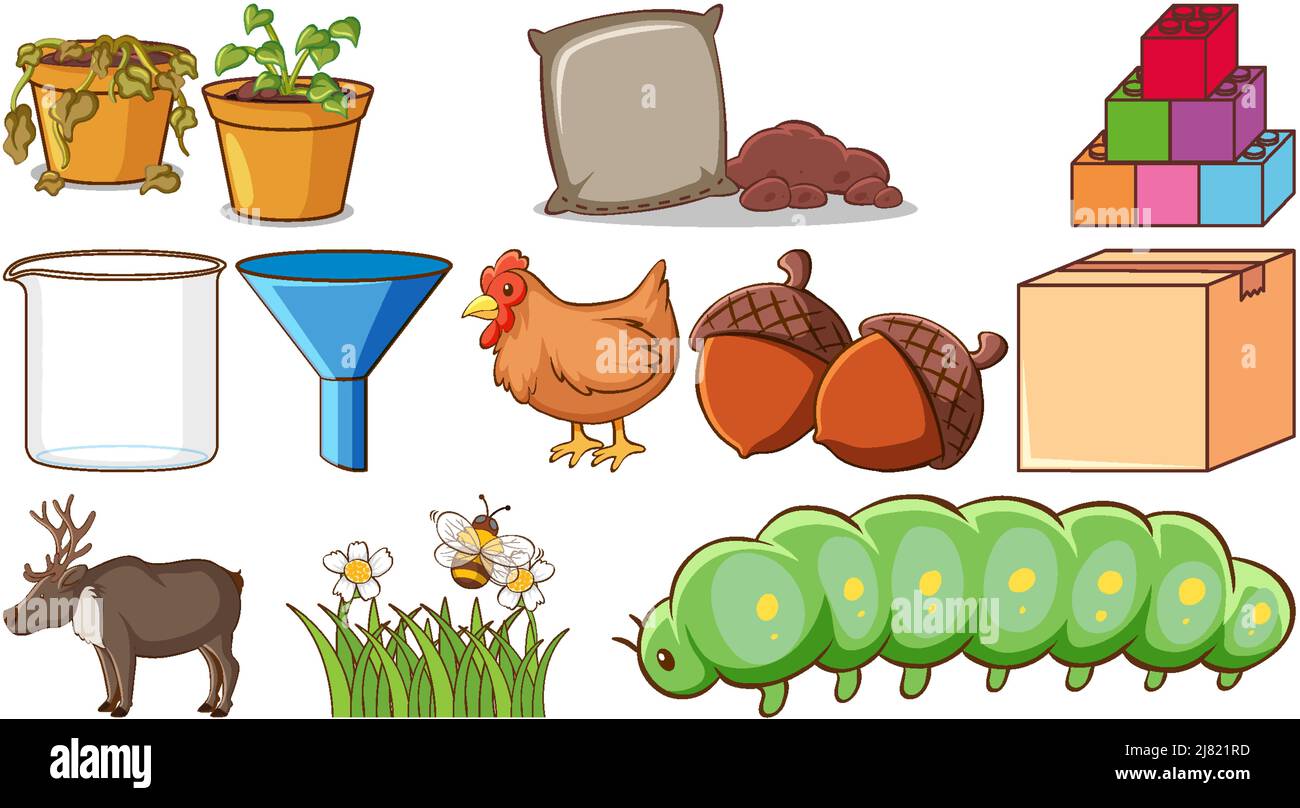 Cute animals and other items illustration Stock Vector Image & Art - Alamy