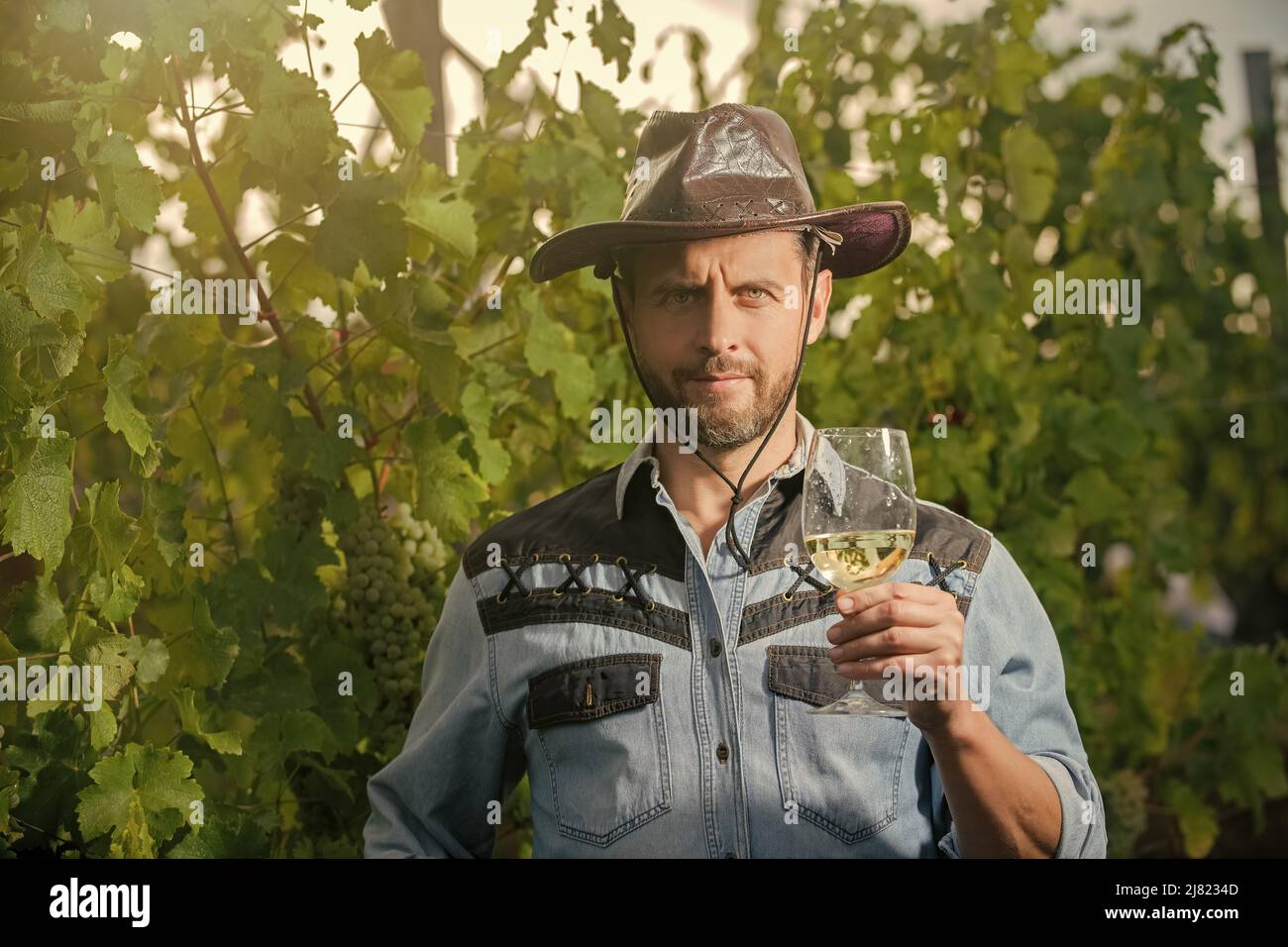 mature enologist man in hat hold wine glass at winery outdoor ...