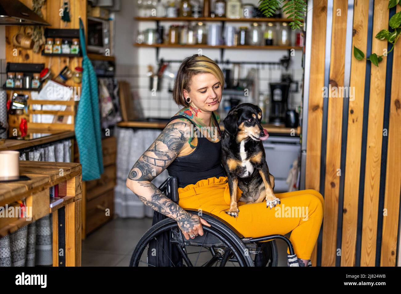 Young person care disability domestic hi-res stock photography and ...