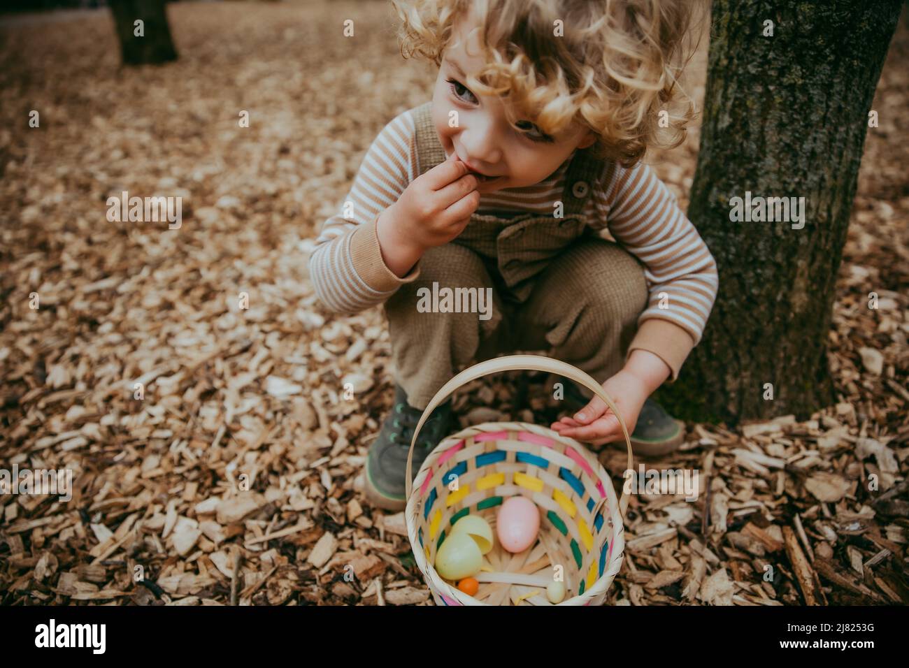 Boy toddler easter egg hunt outdoors cute Stock Photo - Alamy