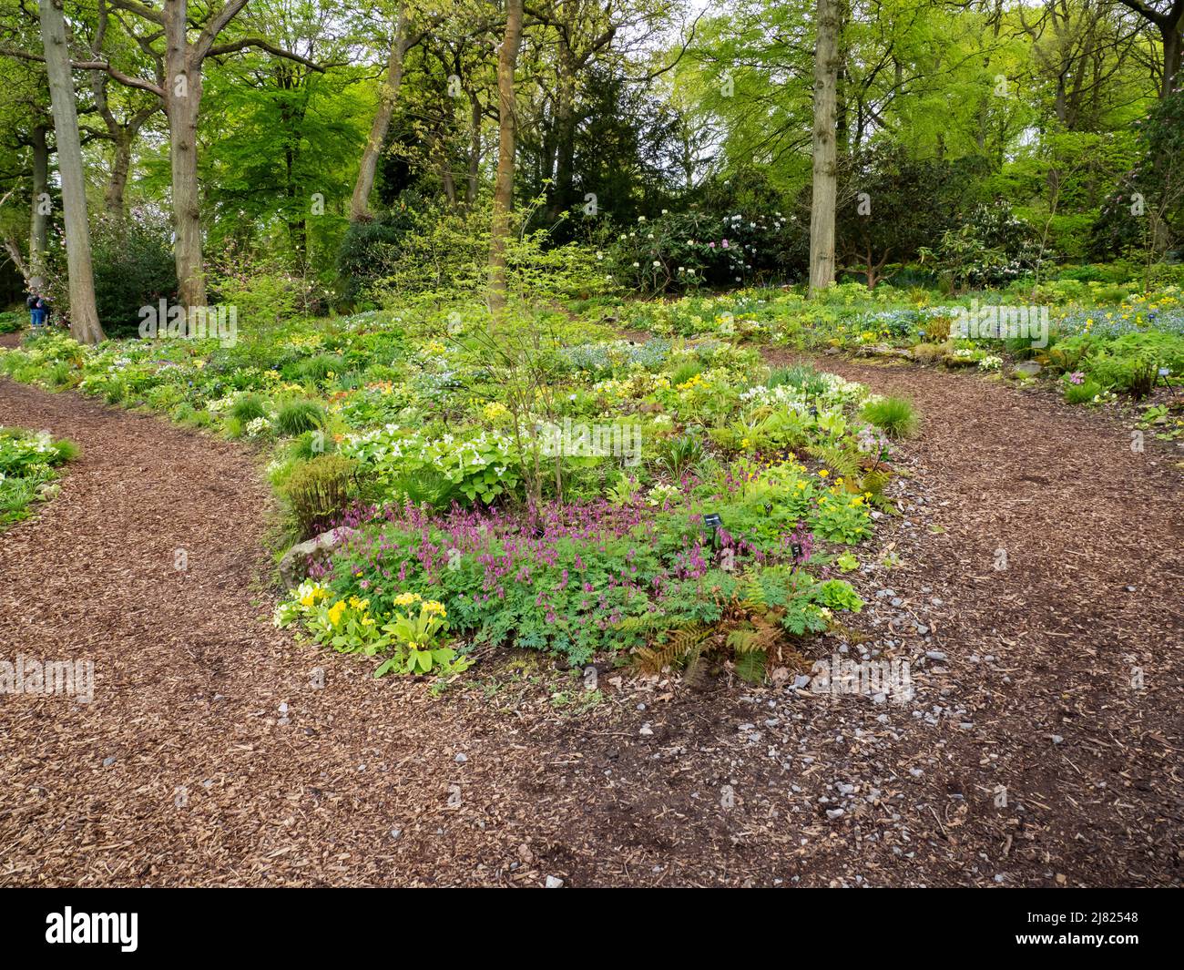 Biodiversity display gardens hi-res stock photography and images - Alamy
