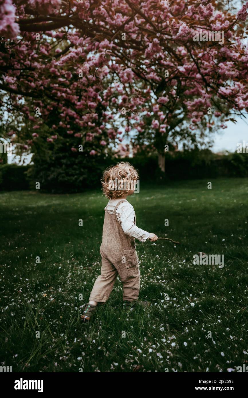Family blossom photography father and son Stock Photo - Alamy