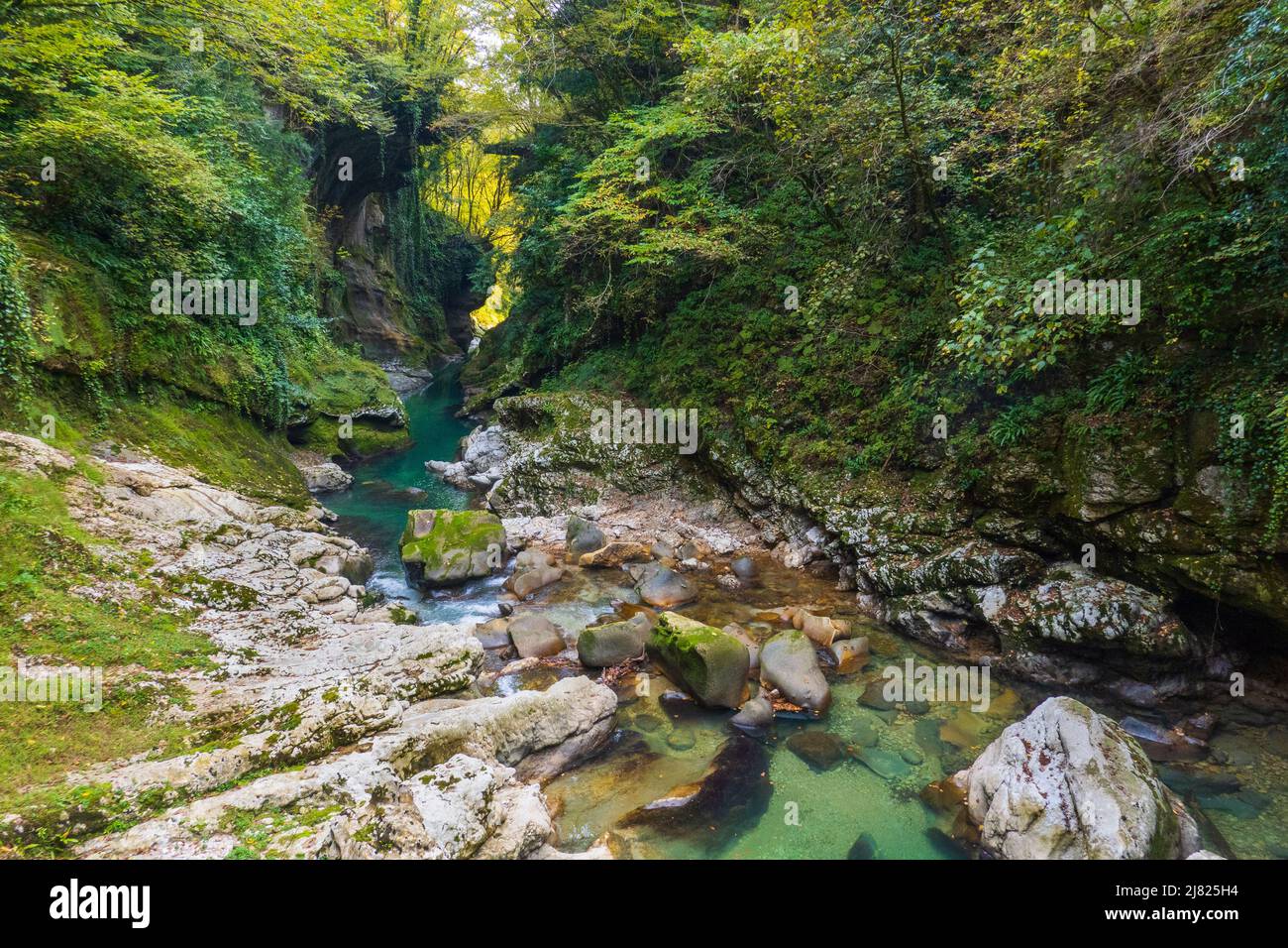 Clean brook flowing through lush terrain Stock Photo - Alamy