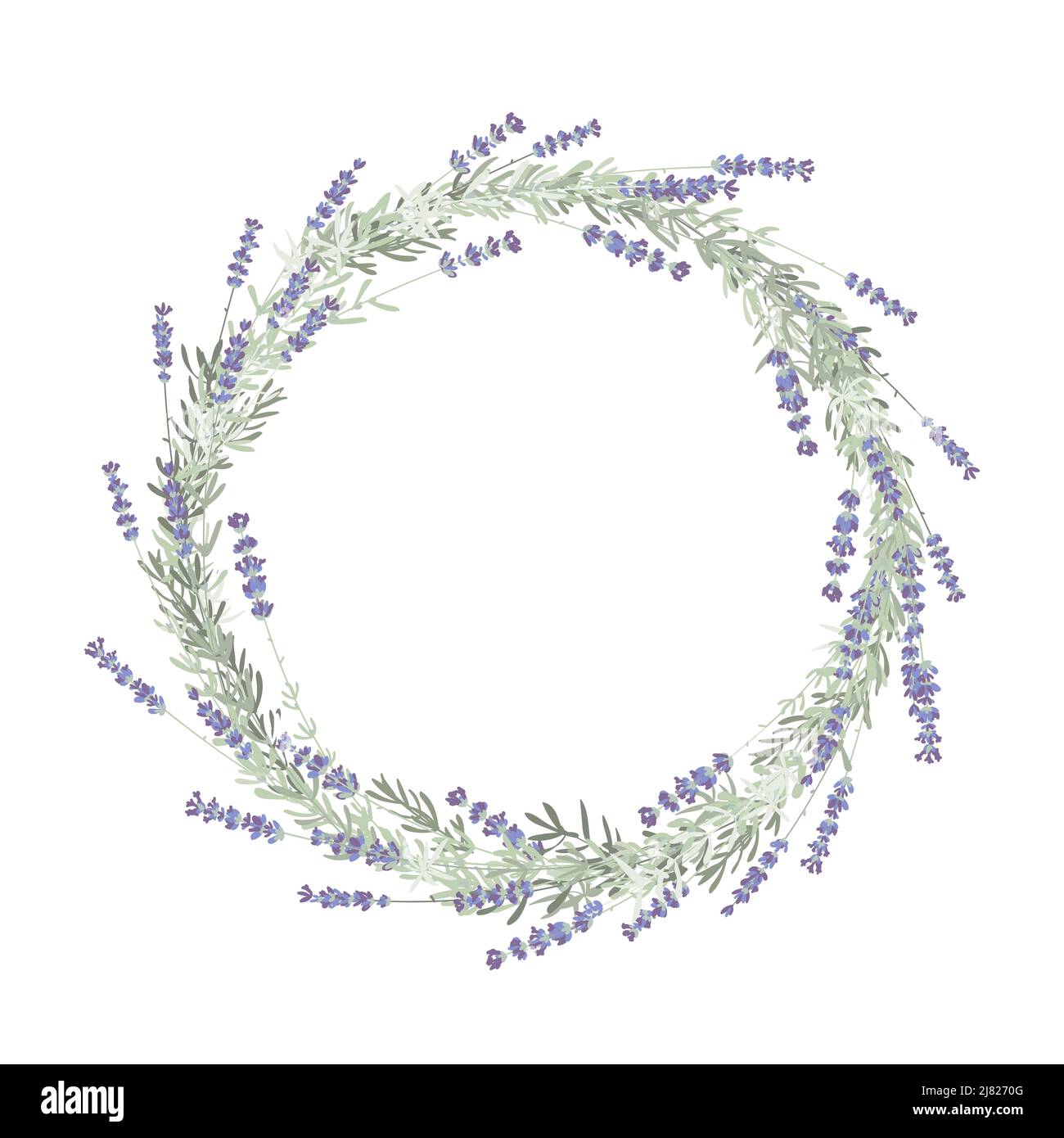 Flower vector hand drawn Cut Out Stock Images & Pictures - Alamy