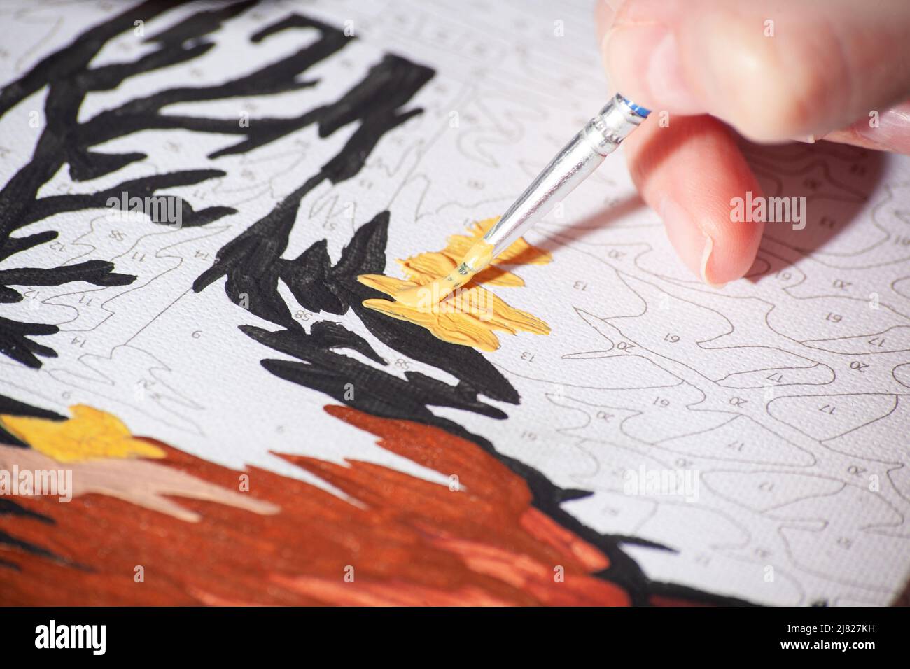 Paint by numbers close up. Female hand with brush drawing. Active ...