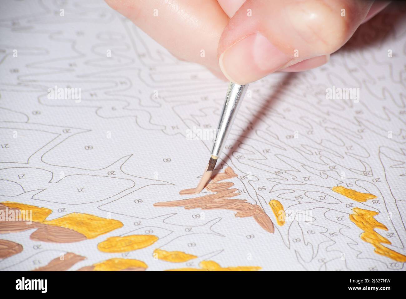 Paint by numbers close up. Female hand with brush drawing. Active ...