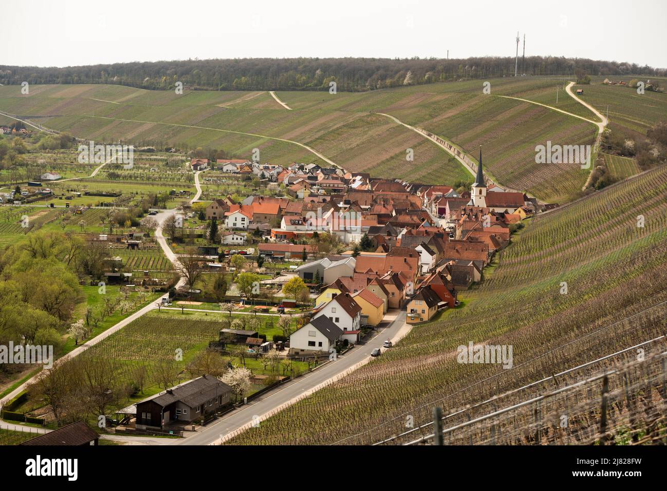 A vineyard carpets a shallow valley in Bavaria, Germany, hemming in a ...