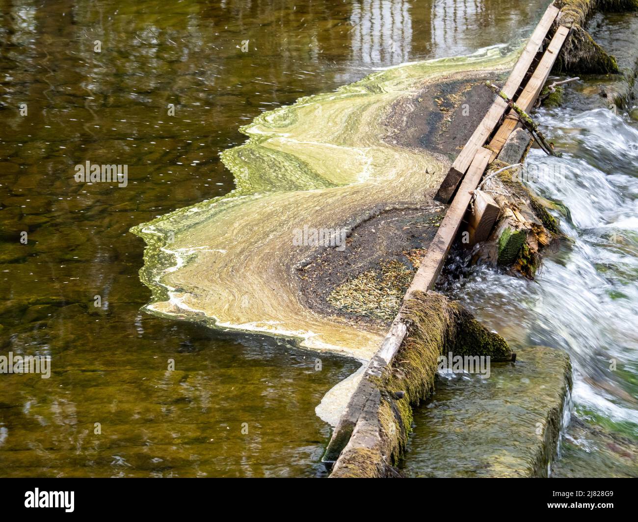 A weir on the River Ribble just above Settle, Yorkshire, Dales, UK with ...