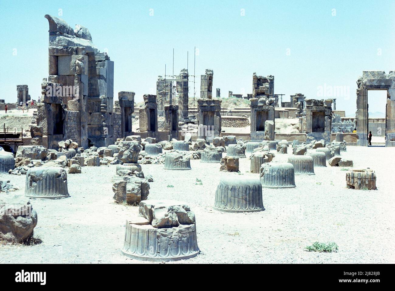 Persepolis, Iran - view of column bases in Throne Hall, also known as ...