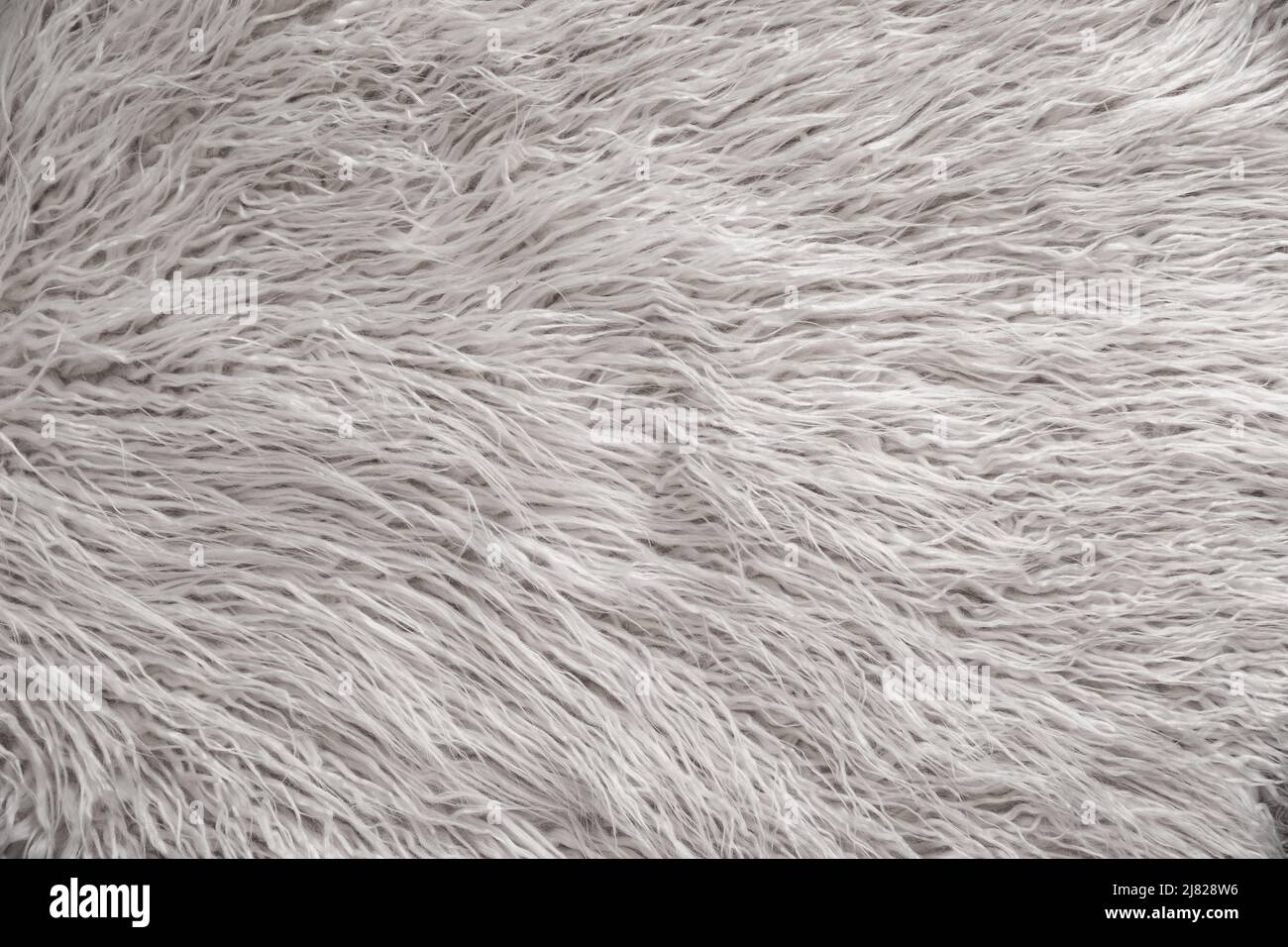 Loni floor hi-res stock photography and images - Alamy