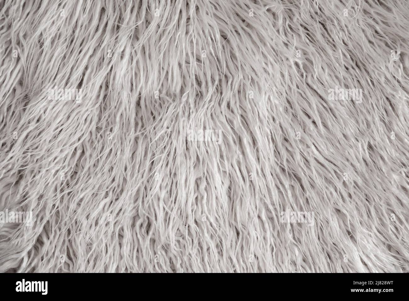 long fluffy fur in neutral light condition as background wallpaper ...