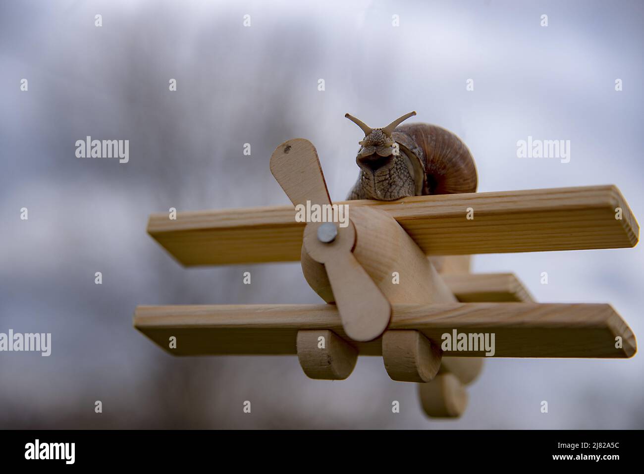 Jet plane flies landing slow hi-res stock photography and images - Alamy