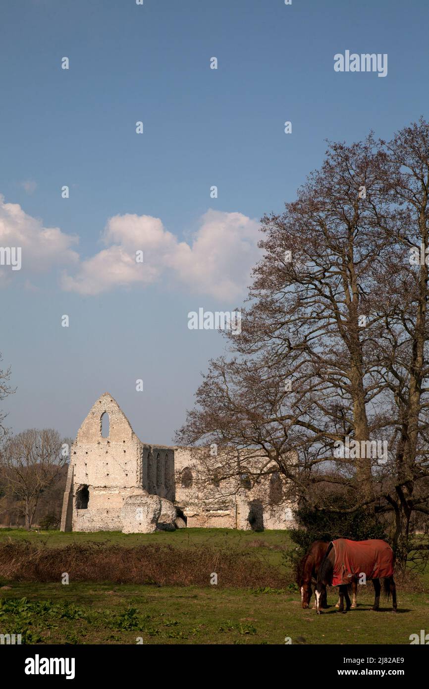 Newark priory, pyrford hi-res stock photography and images - Alamy
