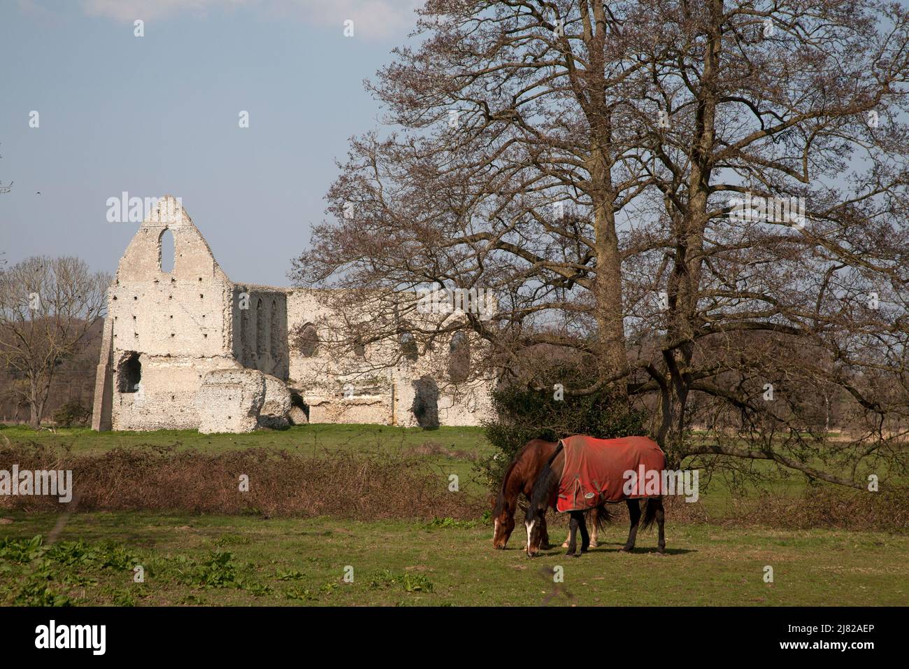 newark priory river wey navigation pyrford surrey england Stock Photo ...