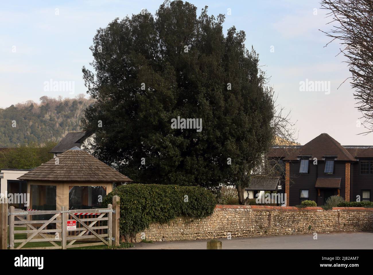 Denbies Wine Estate Restaurant Dorking Surrey England Stock Photo - Alamy