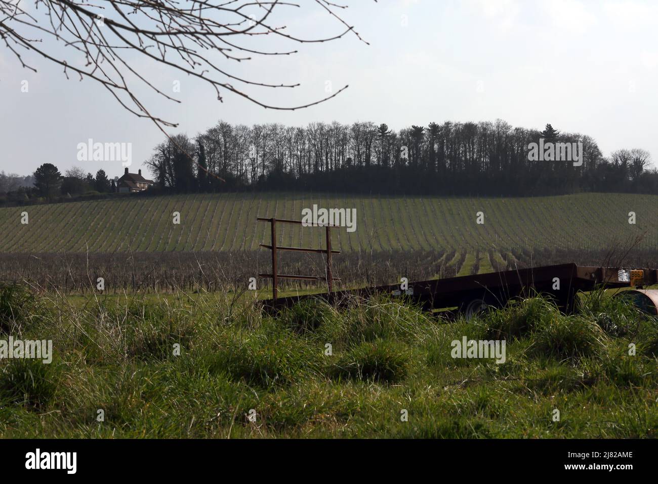 Denbies Wine Estate Trailer in Vineyard Dorking Surrey England Stock ...