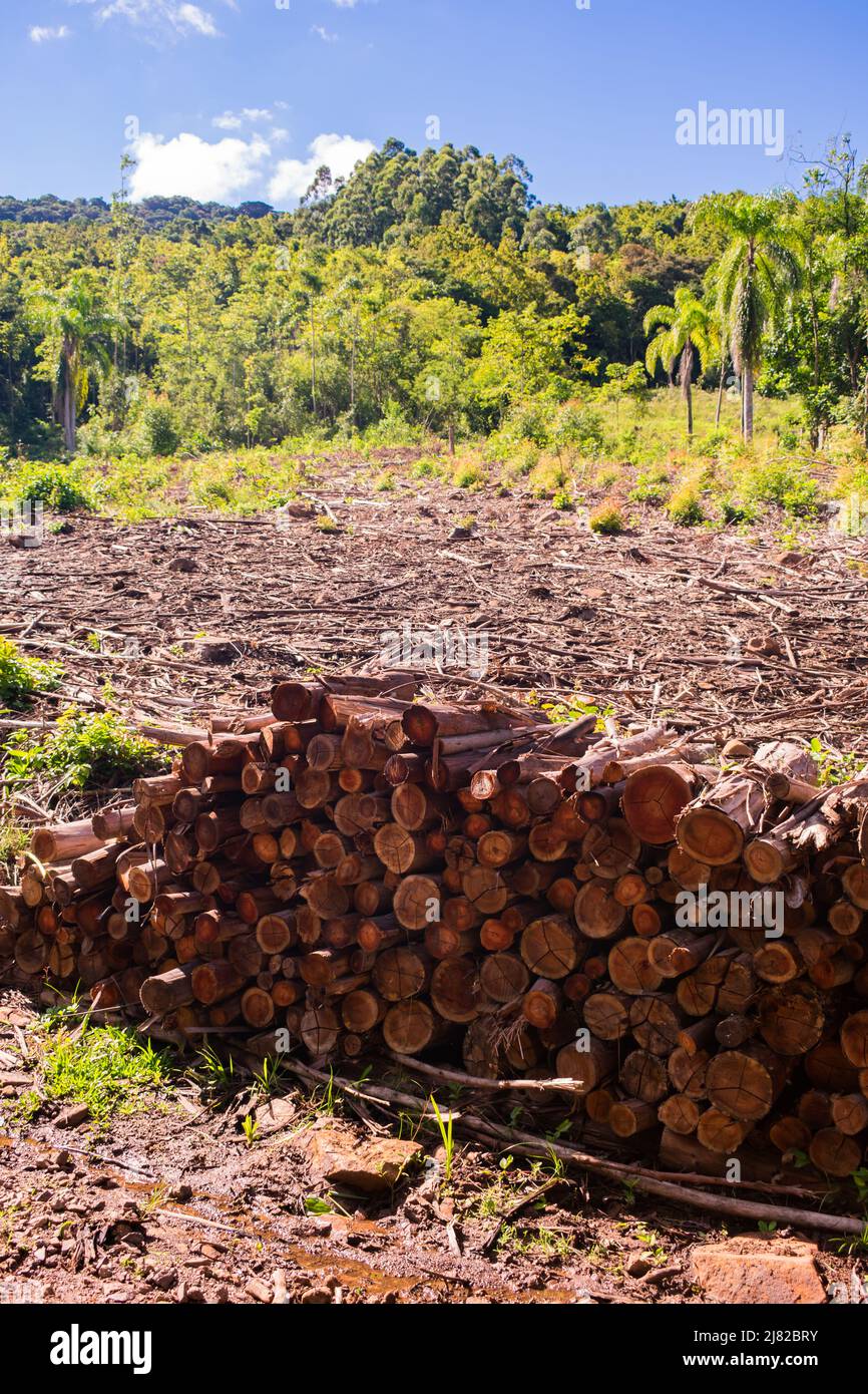 Brazil deforestation hi-res stock photography and images - Alamy