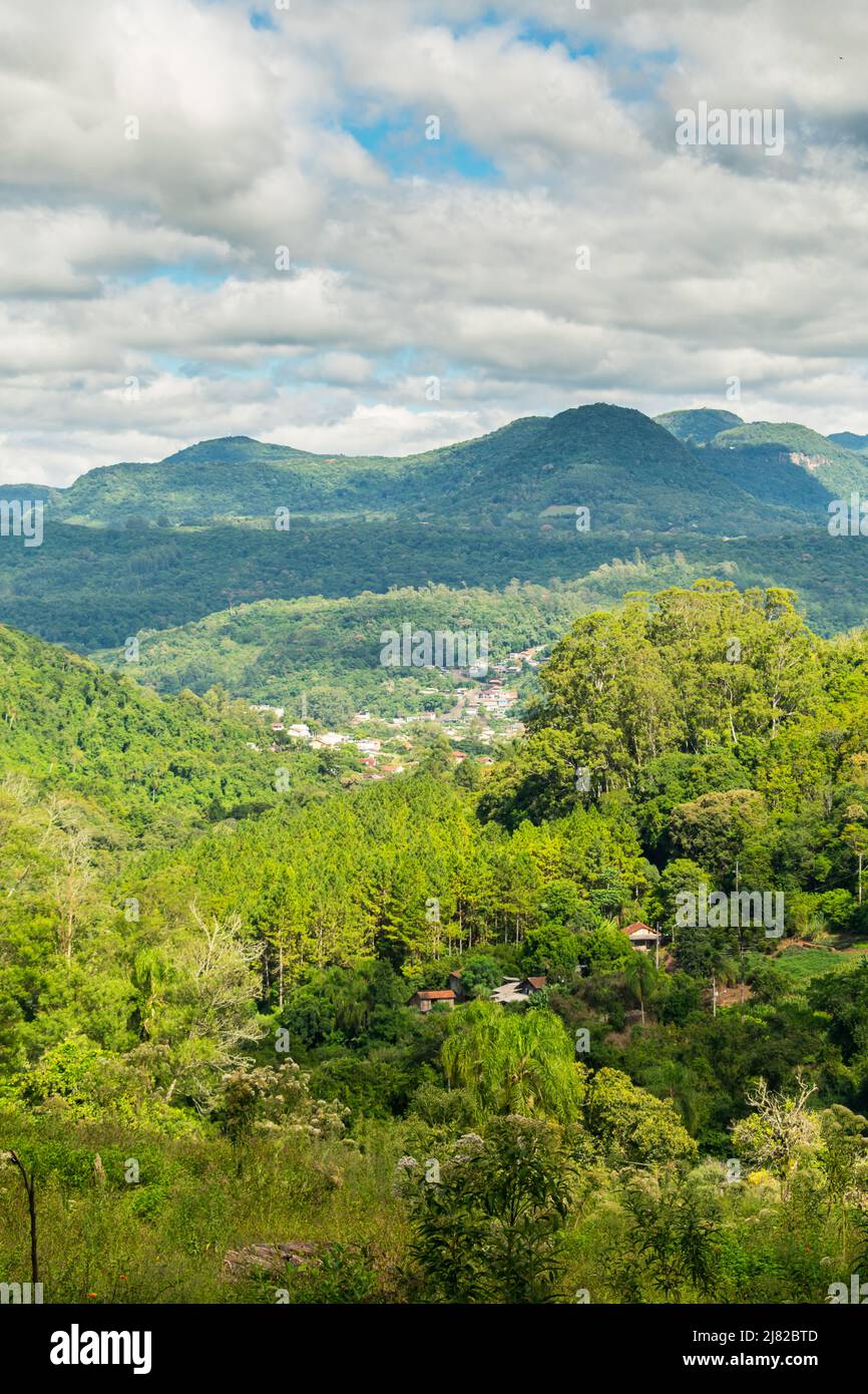 Altitude atlantic forest hi-res stock photography and images - Alamy