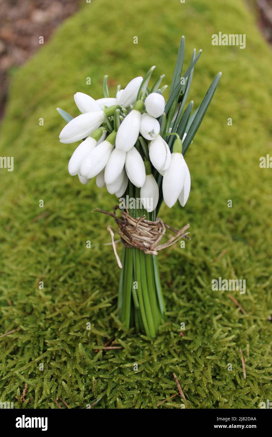 Prakrti hi-res stock photography and images - Alamy
