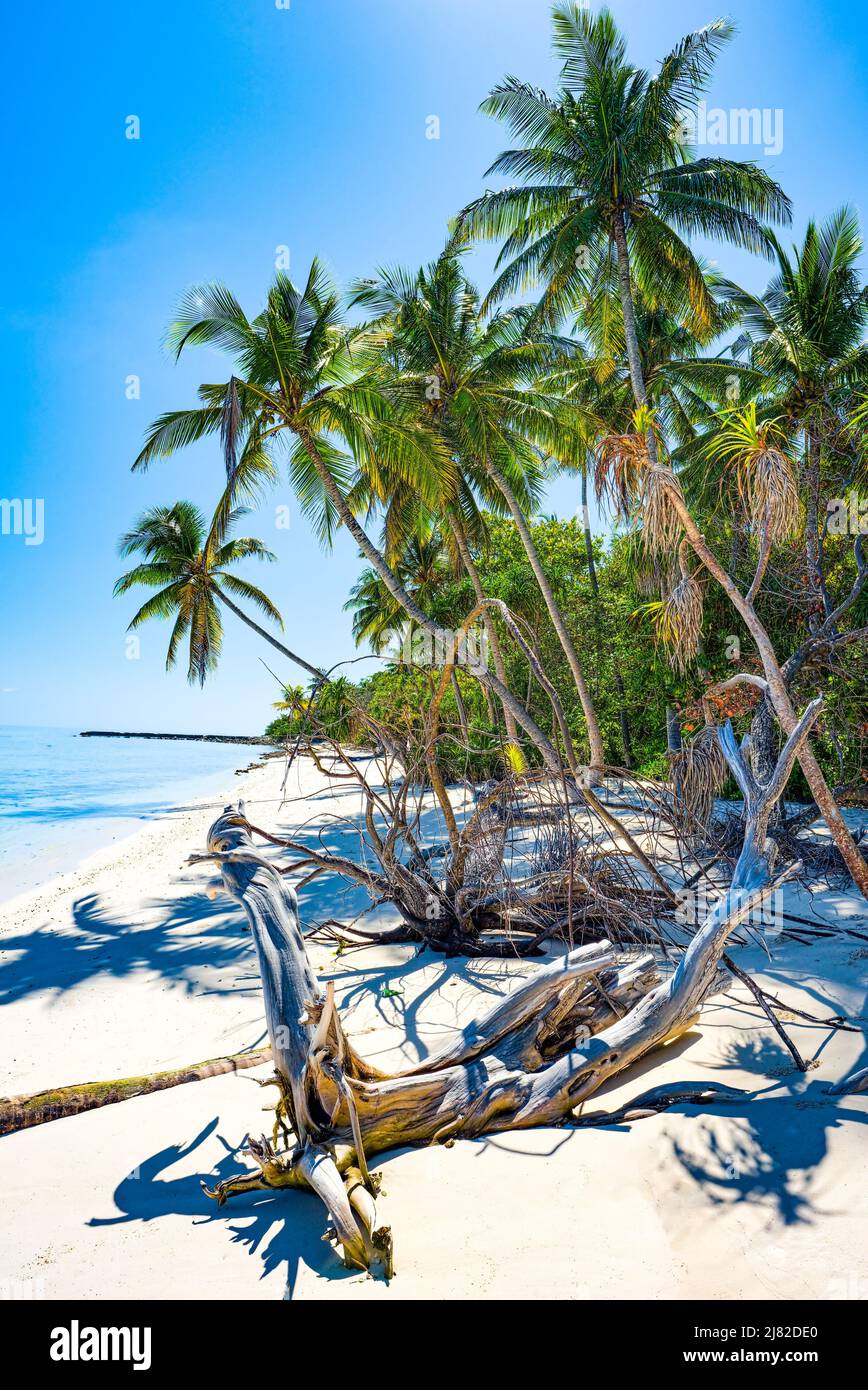 Alif alif hi-res stock photography and images - Alamy