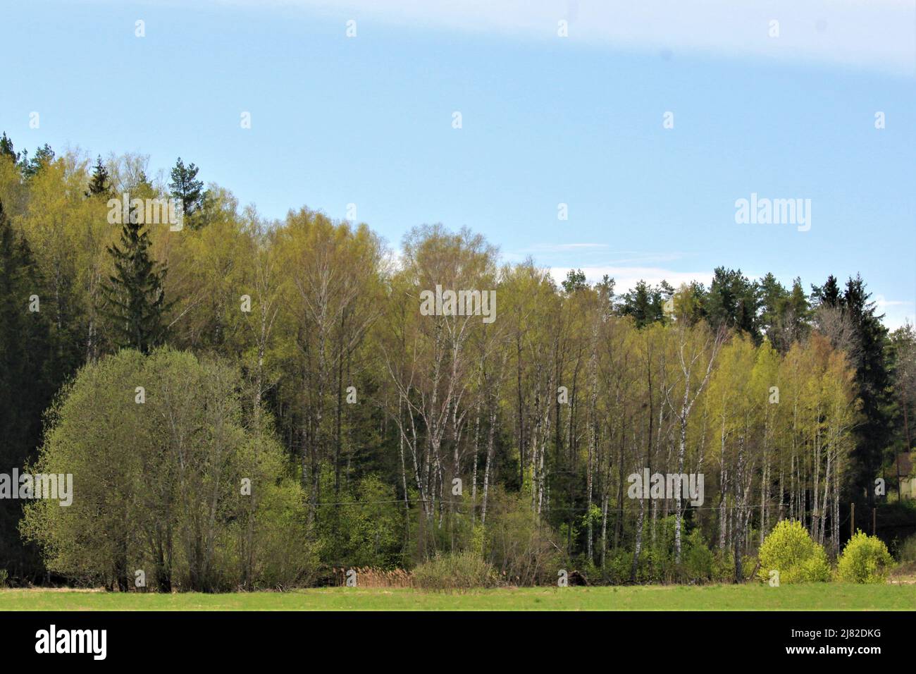 Sundarata hi-res stock photography and images - Alamy
