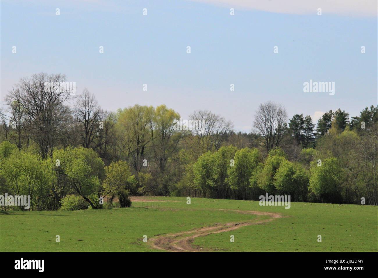 The beautiful spring of Latvia Stock Photo - Alamy