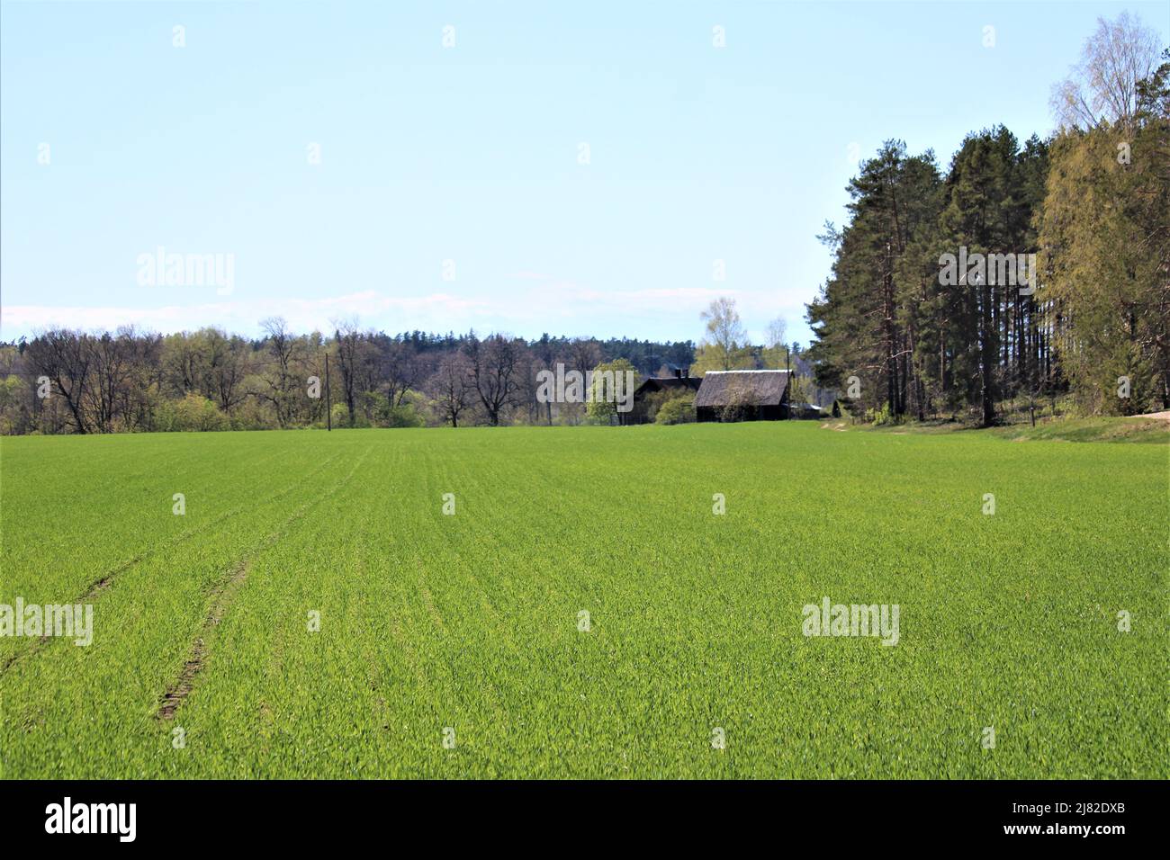 The beautiful spring of Latvia Stock Photo - Alamy