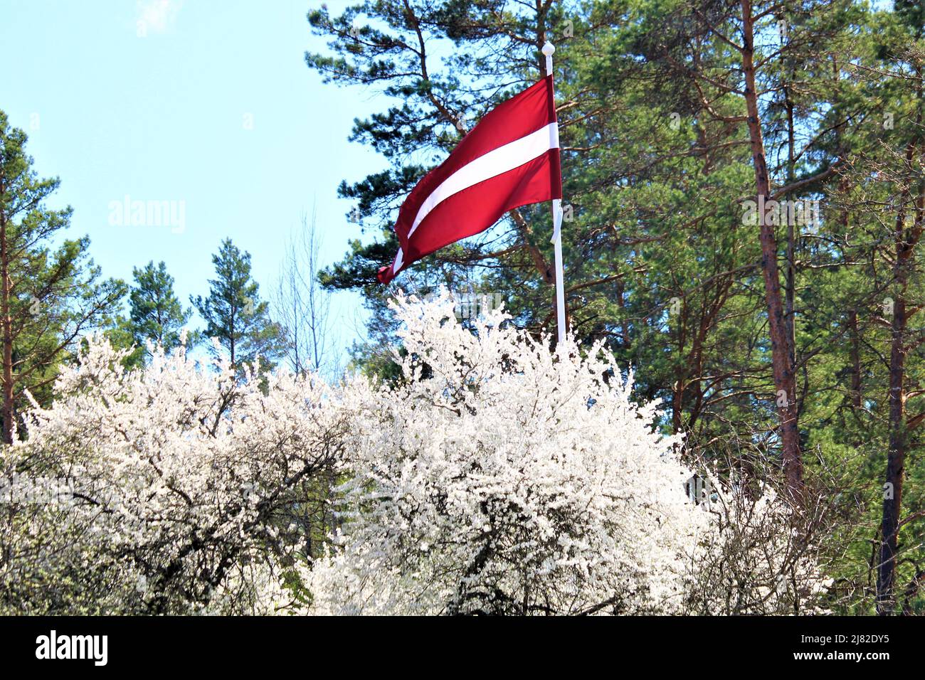 The beautiful spring of Latvia Stock Photo - Alamy