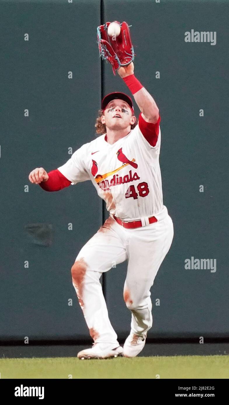 Tyler nevin hi-res stock photography and images - Alamy