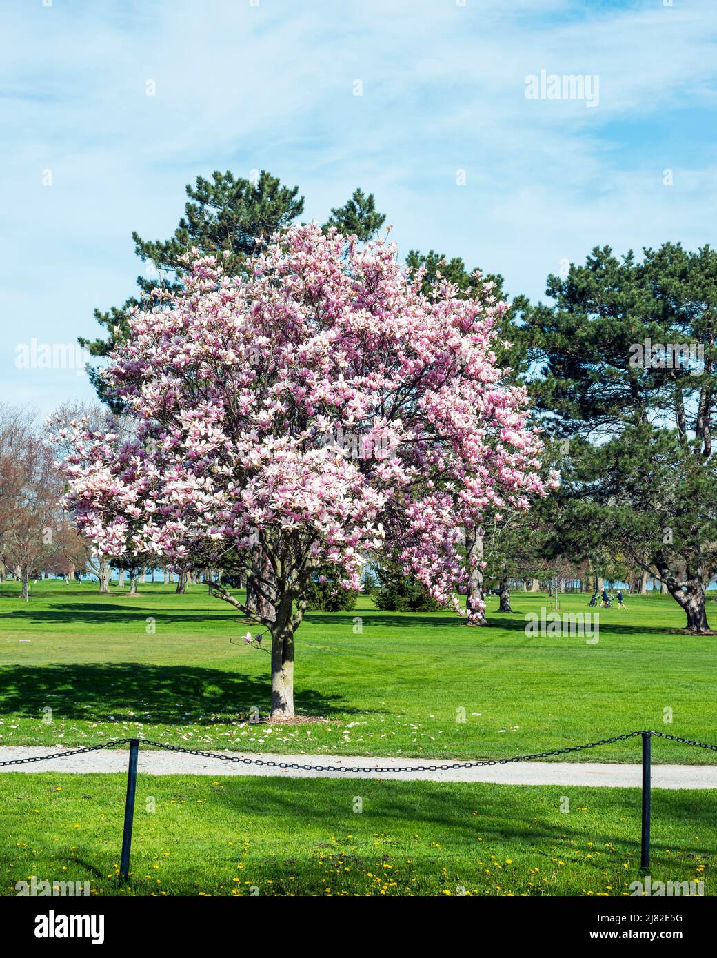 Notl golf hi-res stock photography and images - Alamy