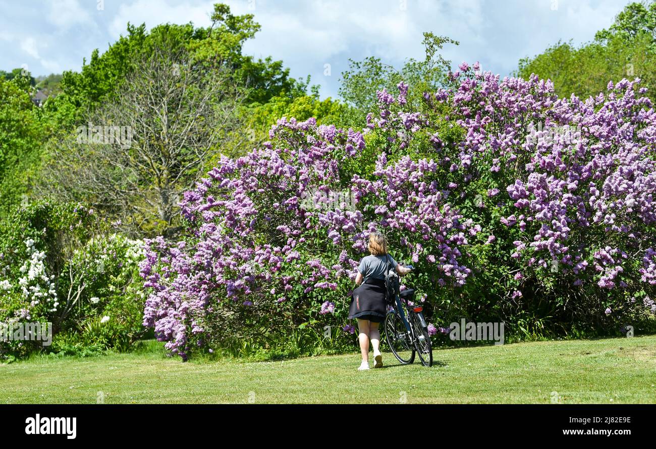 Alamy collection hi-res stock photography and images - Alamy