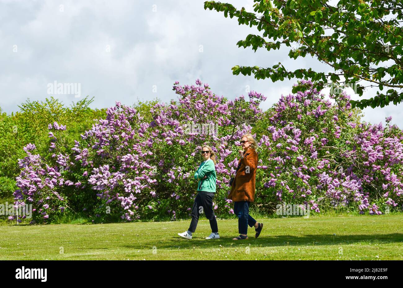 Best parks in the world hi-res stock photography and images - Alamy