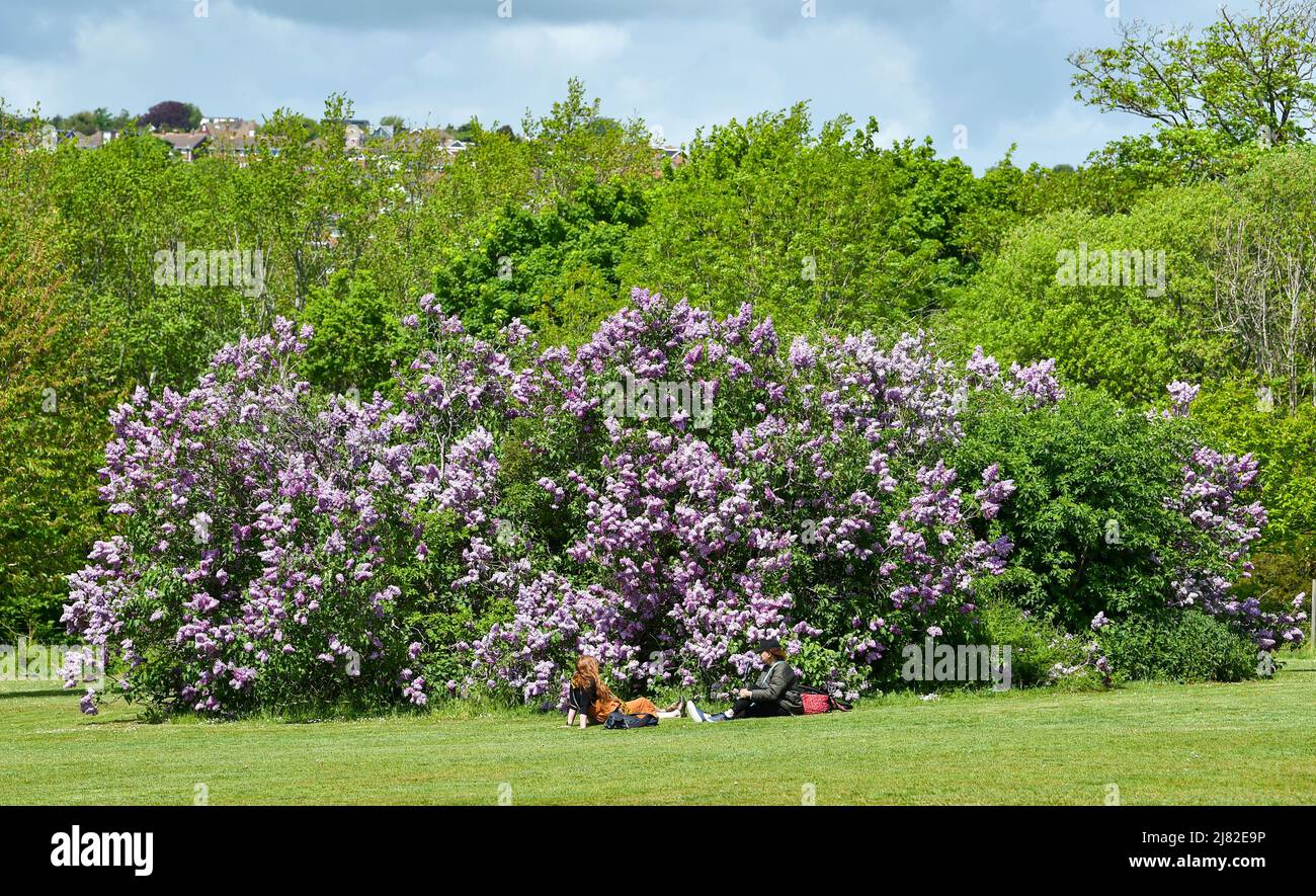 Alamy collection hi-res stock photography and images - Alamy