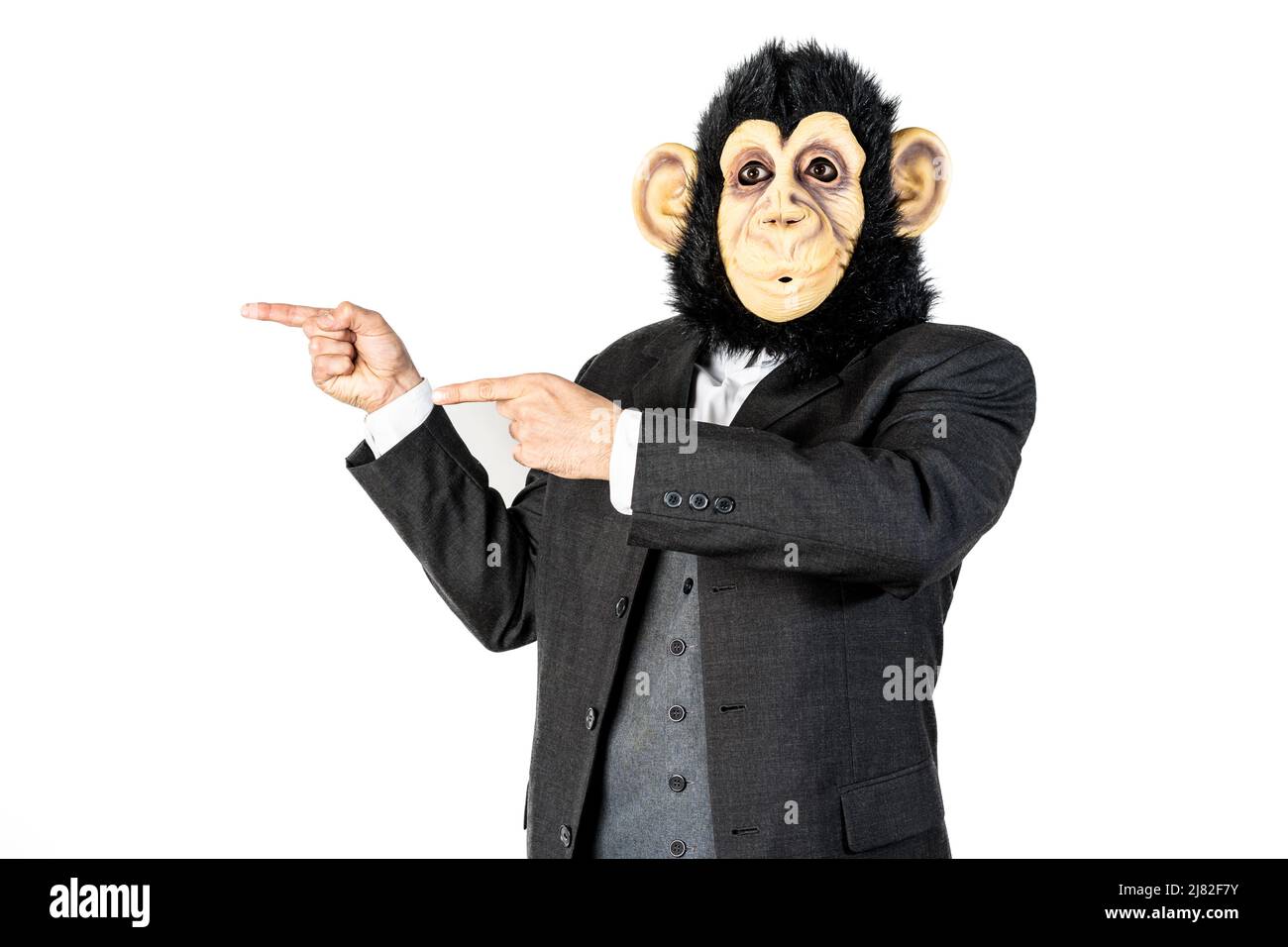 Monkey man pointing to the left with his hands Stock Photo - Alamy