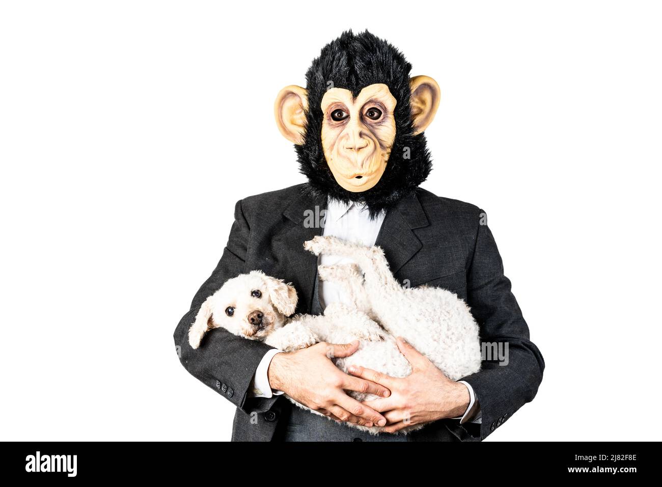 Man wearing gorilla mask hi-res stock photography and images - Alamy