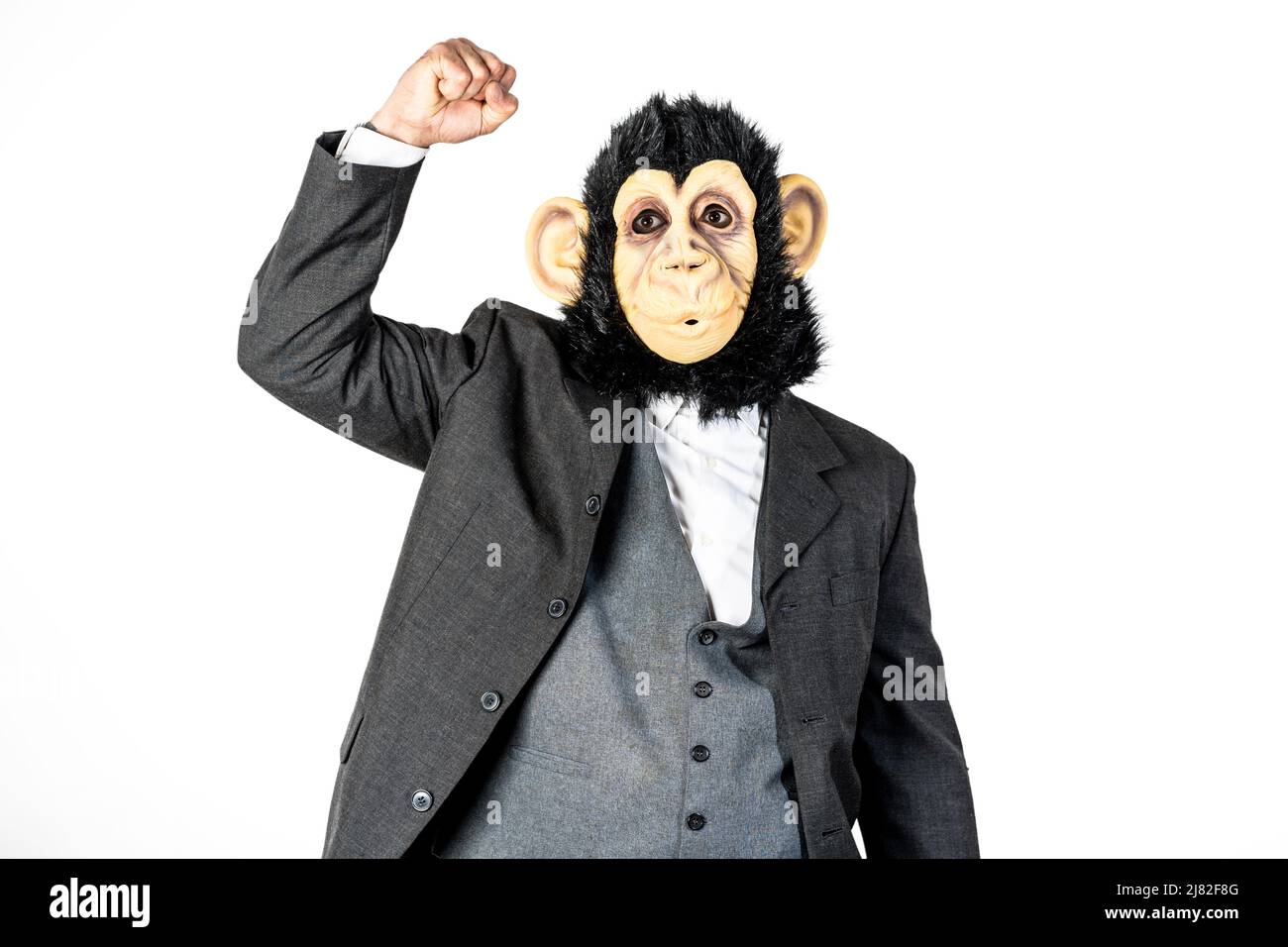 Monkey man making success and winner gesture Stock Photo - Alamy