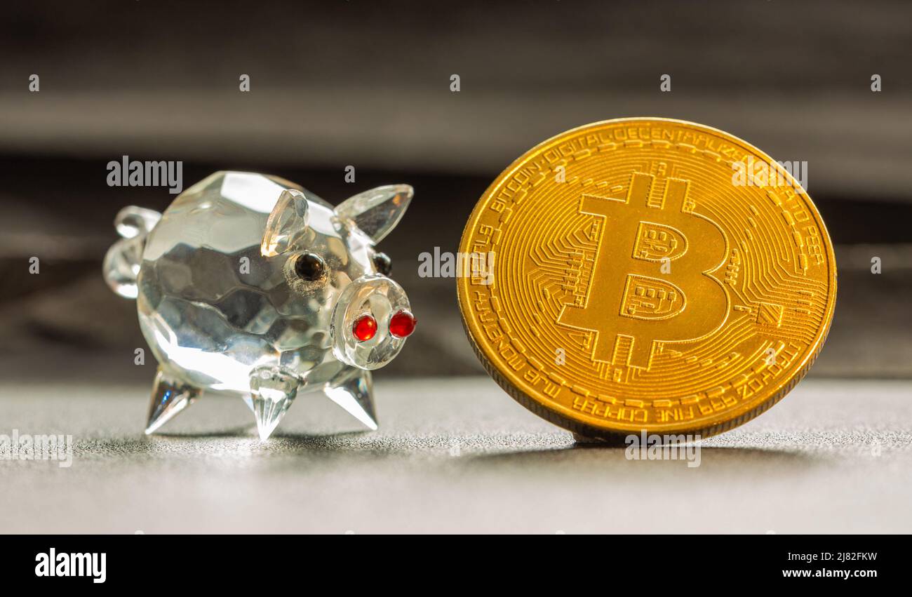 Bitcoin and piggy bank savings concept, background with bitcoin Stock ...
