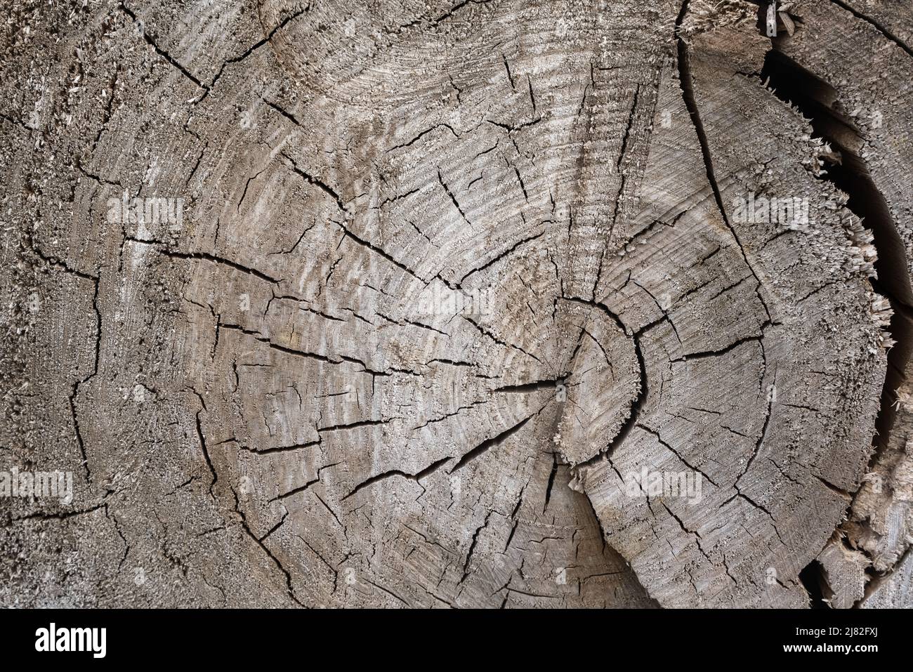 Wood Texture With Natural Pattern. High quality photo Stock Photo - Alamy